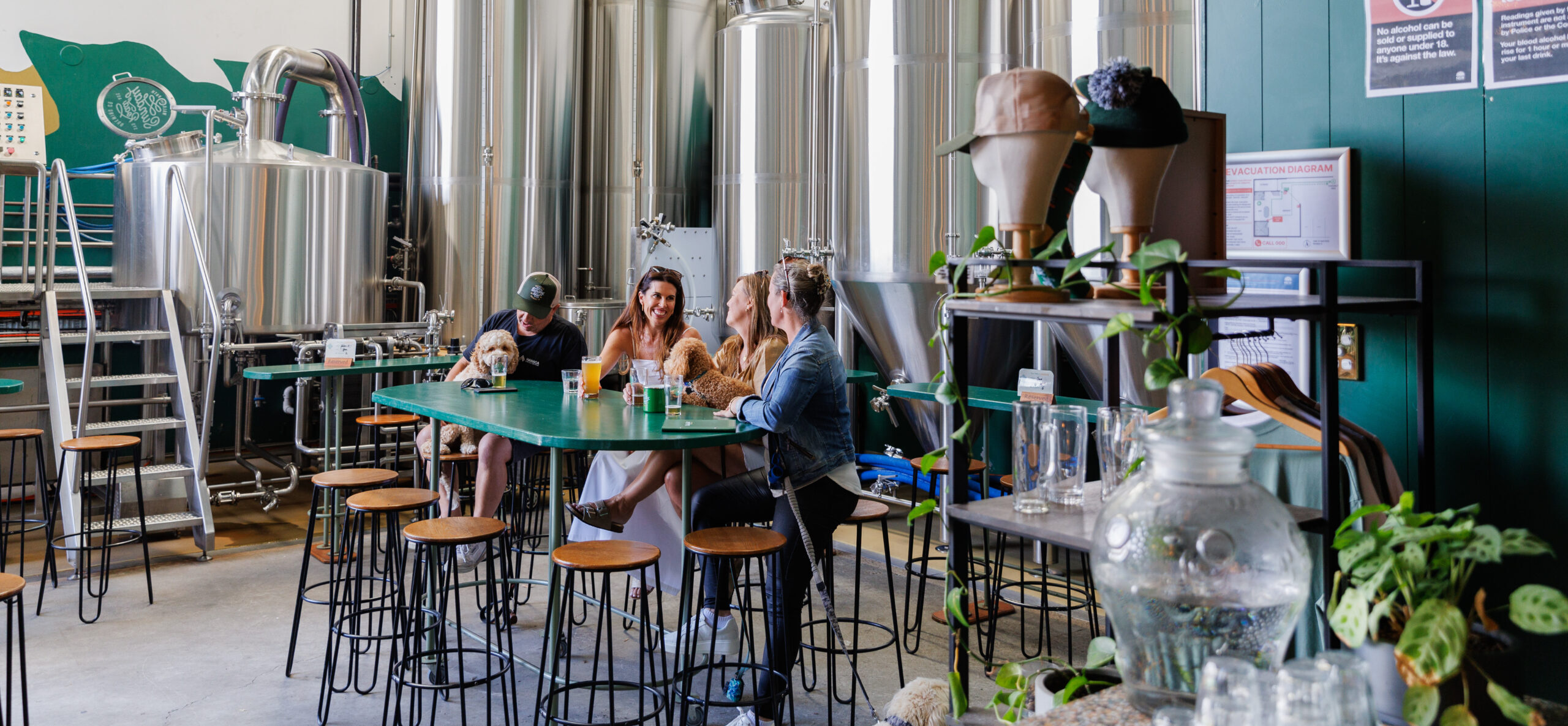 Bars & Breweries - Visit Sutherland Shire