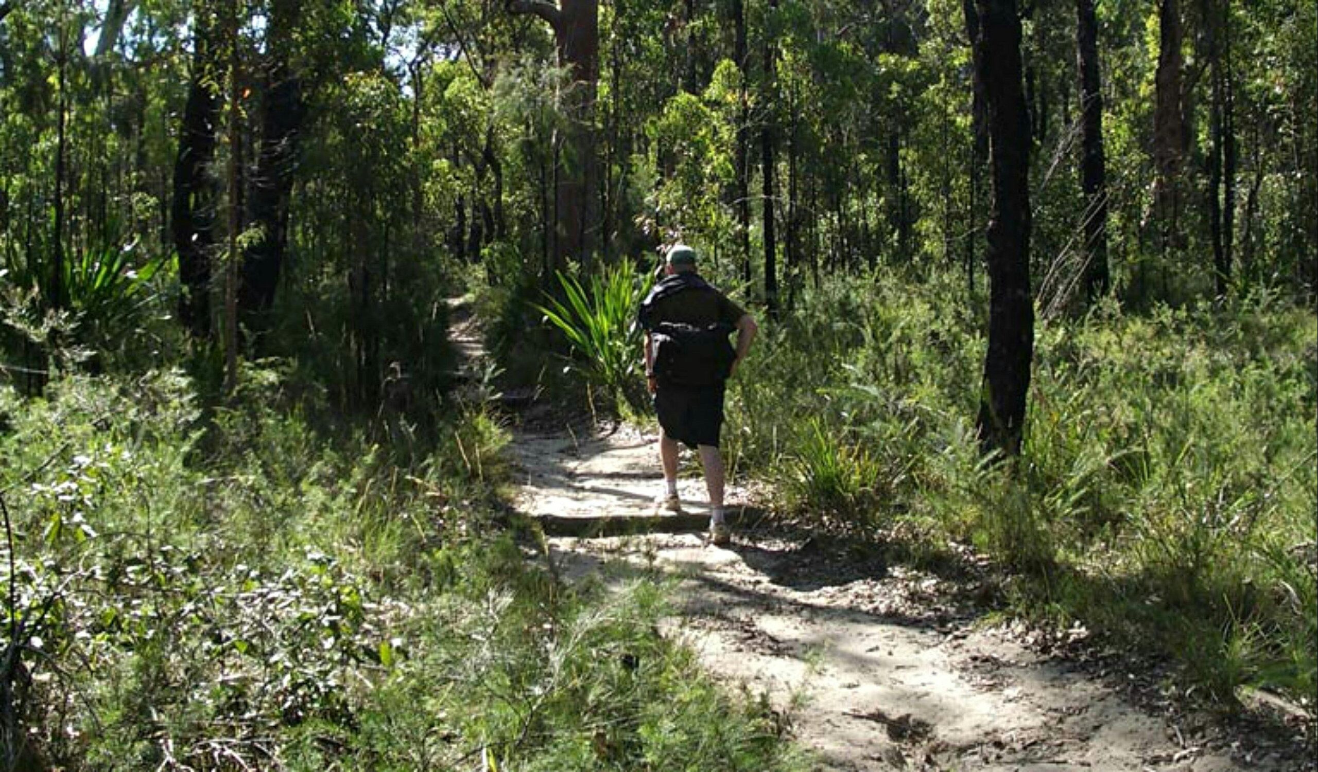 Karloo Walking Track - Visit Sutherland Shire