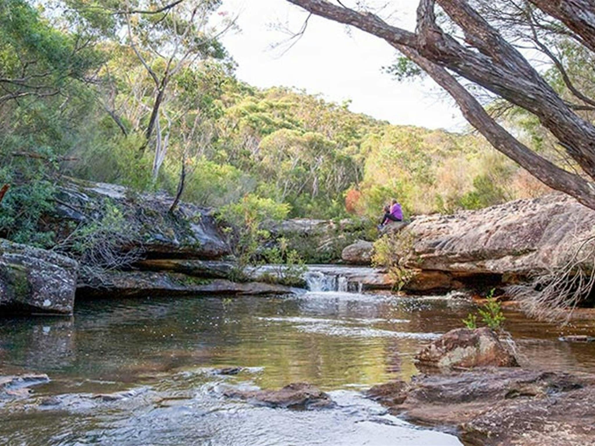 Kingfisher Pool picnic area | Visit Sutherland Shire