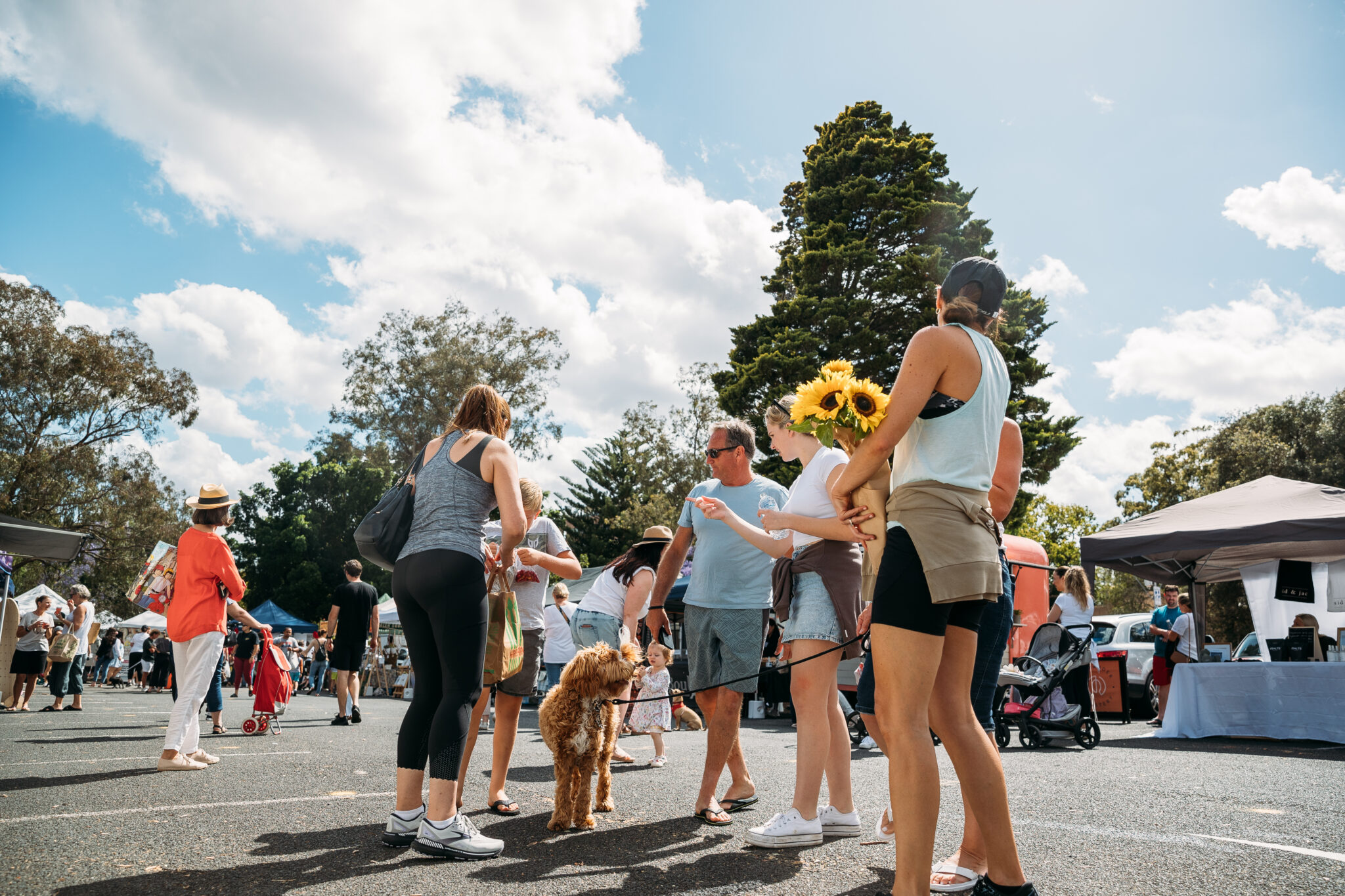 7 Cosy Winter Activities in the Sutherland Shire - Visit Sutherland Shire