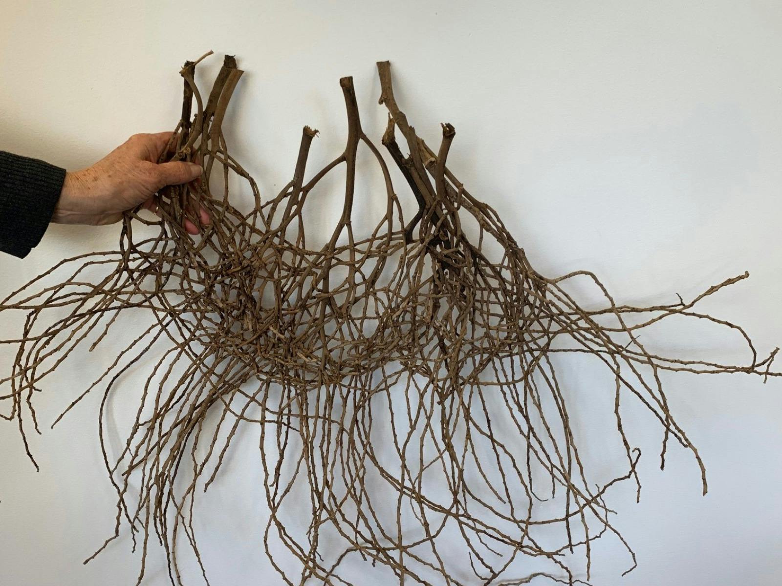 Random Weave Sculptures Workshop - Cronulla - Visit Sutherland Shire