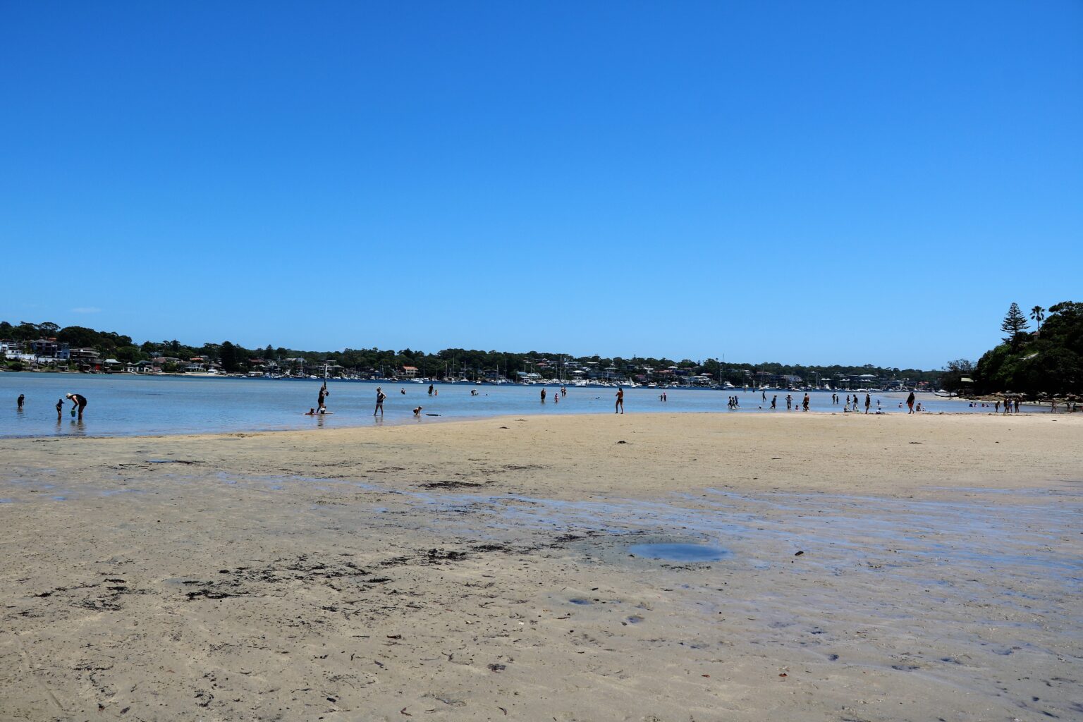 Bate Bay Beaches Crowned Best Australian Beach 2026 - Visit Sutherland ...
