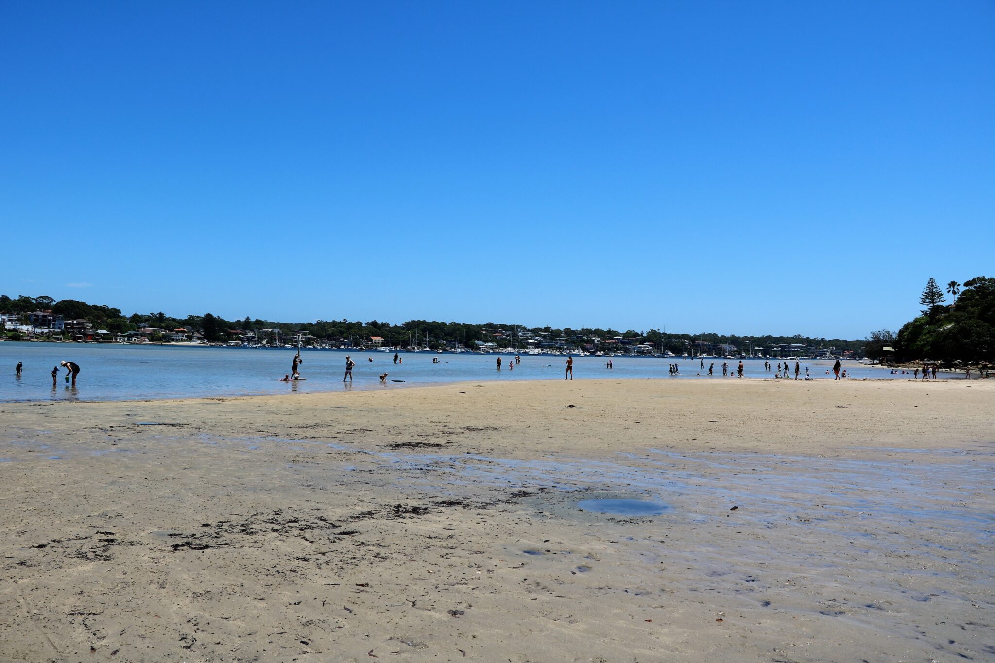 Bate Bay Beaches Crowned Best Australian Beach 2026 - Visit Sutherland ...